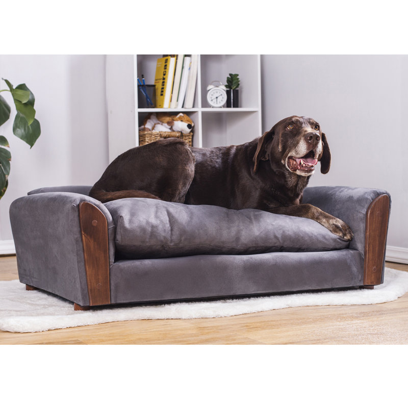 Tucker Murphy Pet™ Katonah VIP Dog Sofa & Reviews | Wayfair